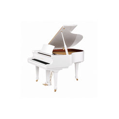 Top Keyboards of 2024: Kawai ES120B, Yamaha P145, Roland FP-10, and St